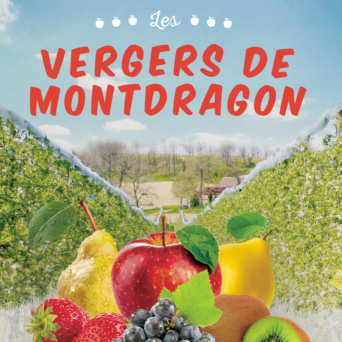 Venez cueillir vos fruits et légumes directement aux Vergers de ...